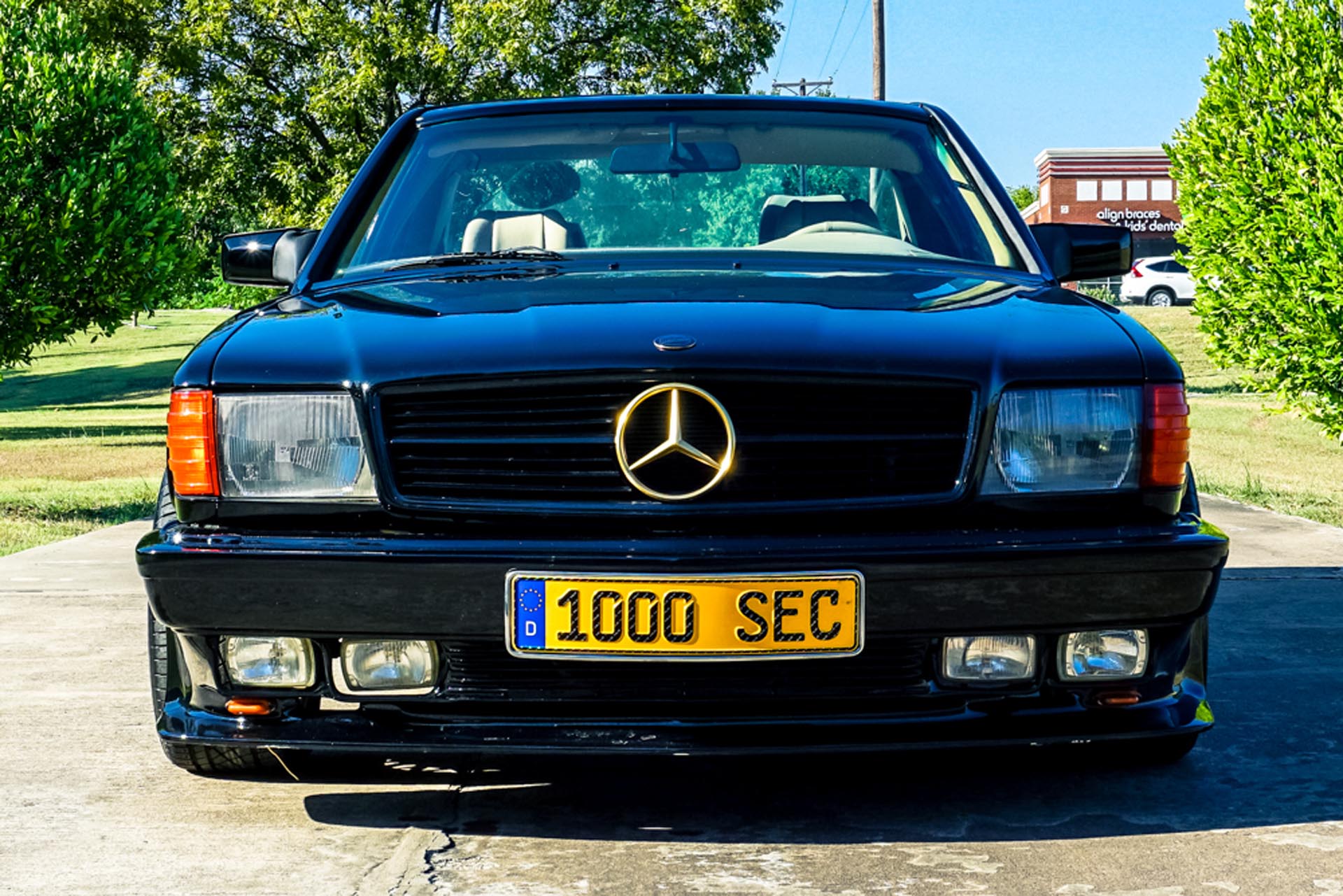 Blessed by the sight of two Mercedes-Benz 1000 SEC Gullwing Coupes ...