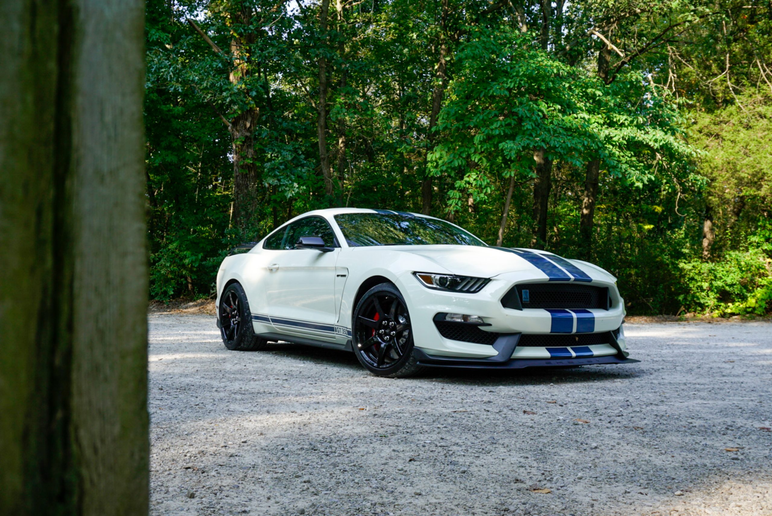 Review: 2020 Shelby Mustang GT350R Heritage Edition | Hagerty Media