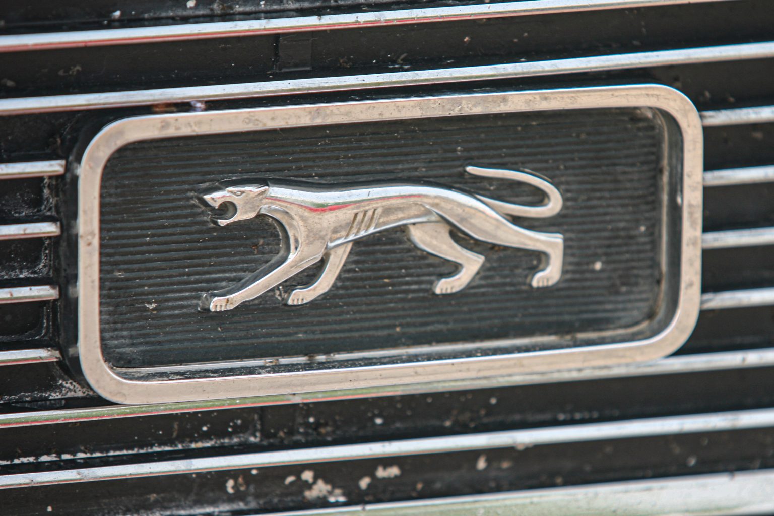 17 of our favorite American car emblems | Hagerty Media