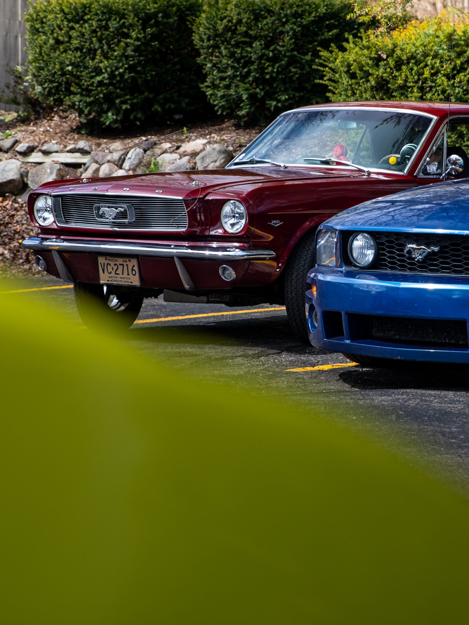 Michigan's Global Mustang Day rally captured the colorful scope of ...