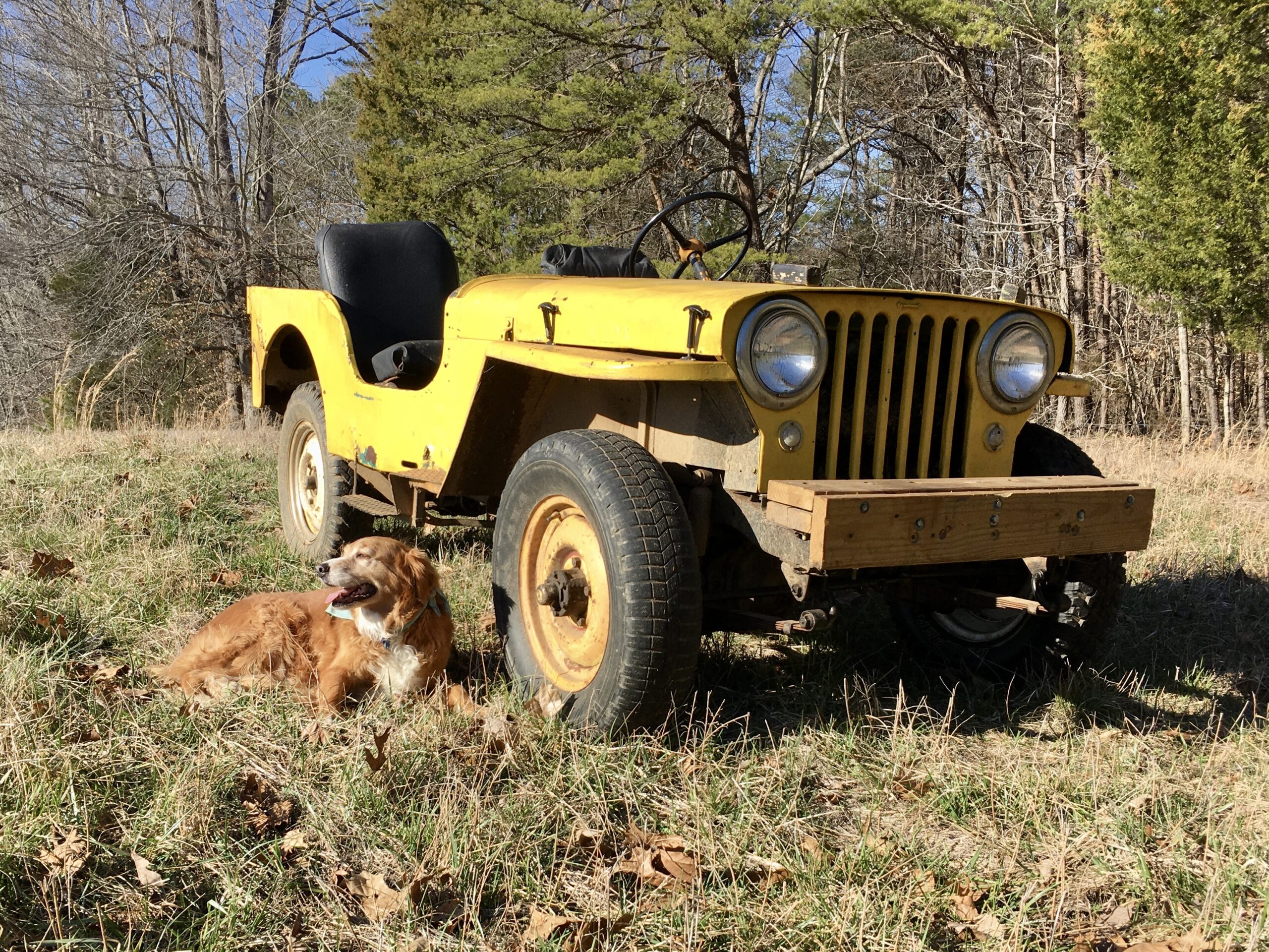 Old Yeller, the 1946 Jeep, Has Been Making Memories For More Than a ...