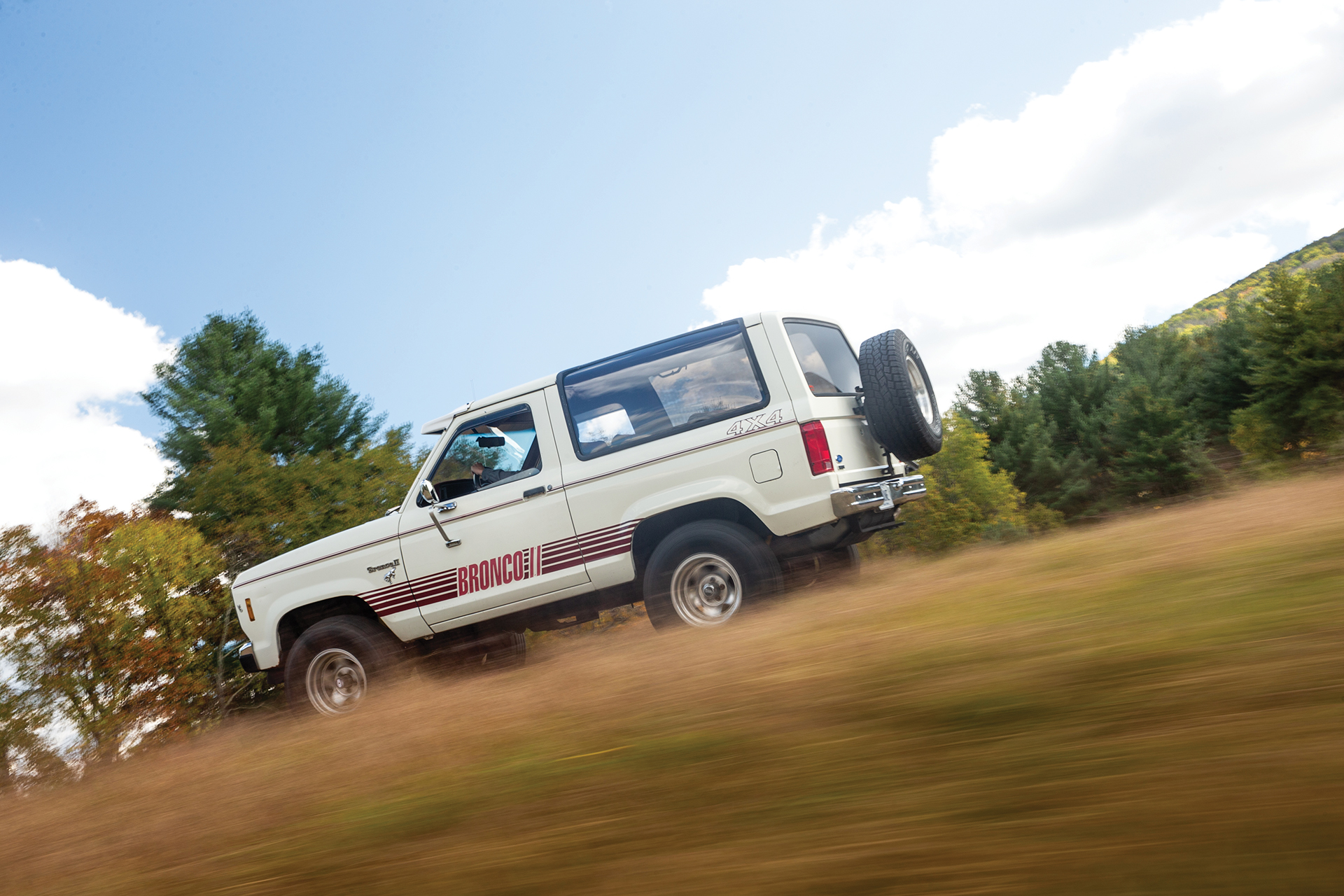 Bull Market Report Card: Checking In on Our 2025 Picks - Hagerty Media