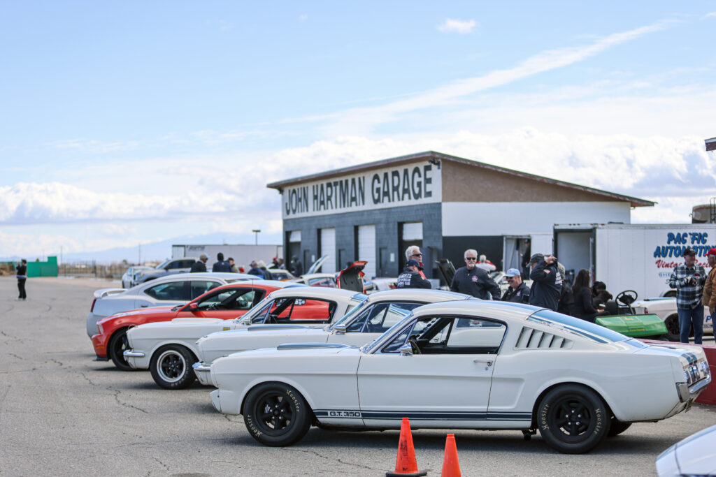 Original Venice Crew Celebrates 60 Years of Shelby Racing Dominance ...
