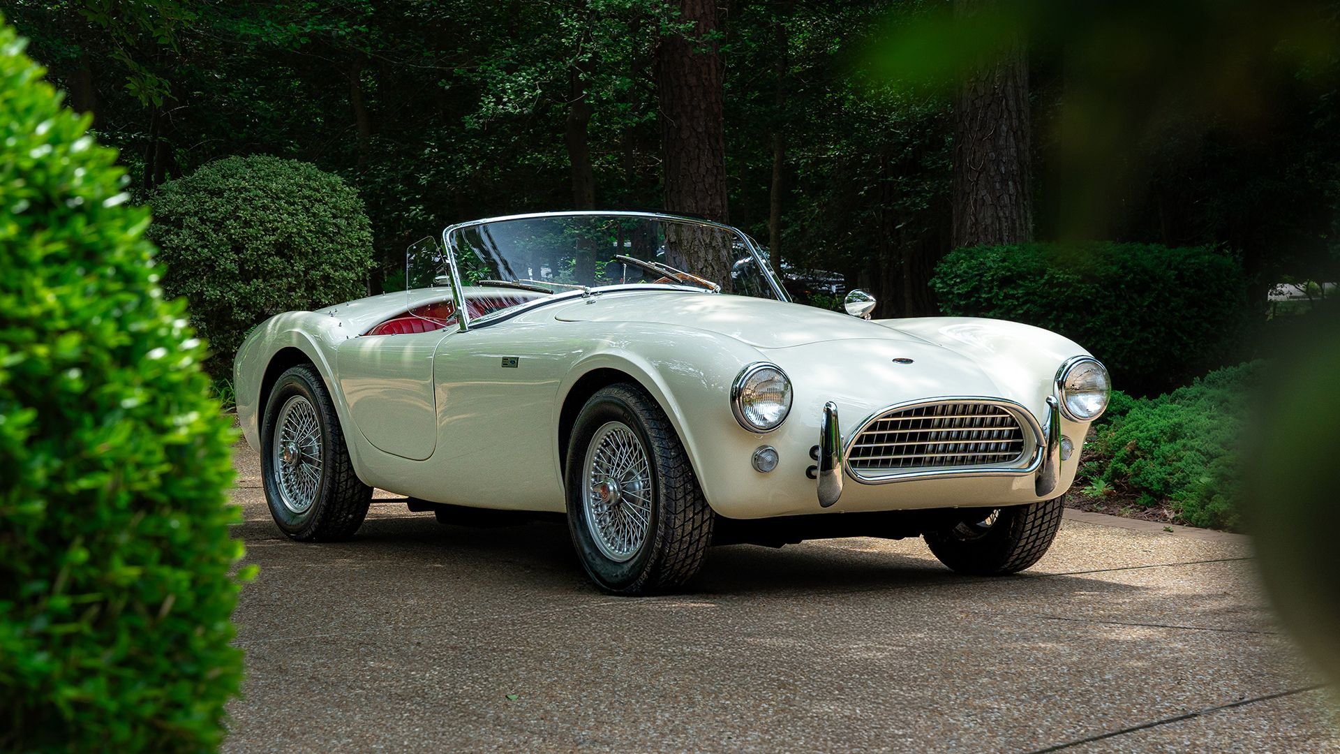 One of the First Shelby Cobras Ever Built Slithers Out of Hiding ...