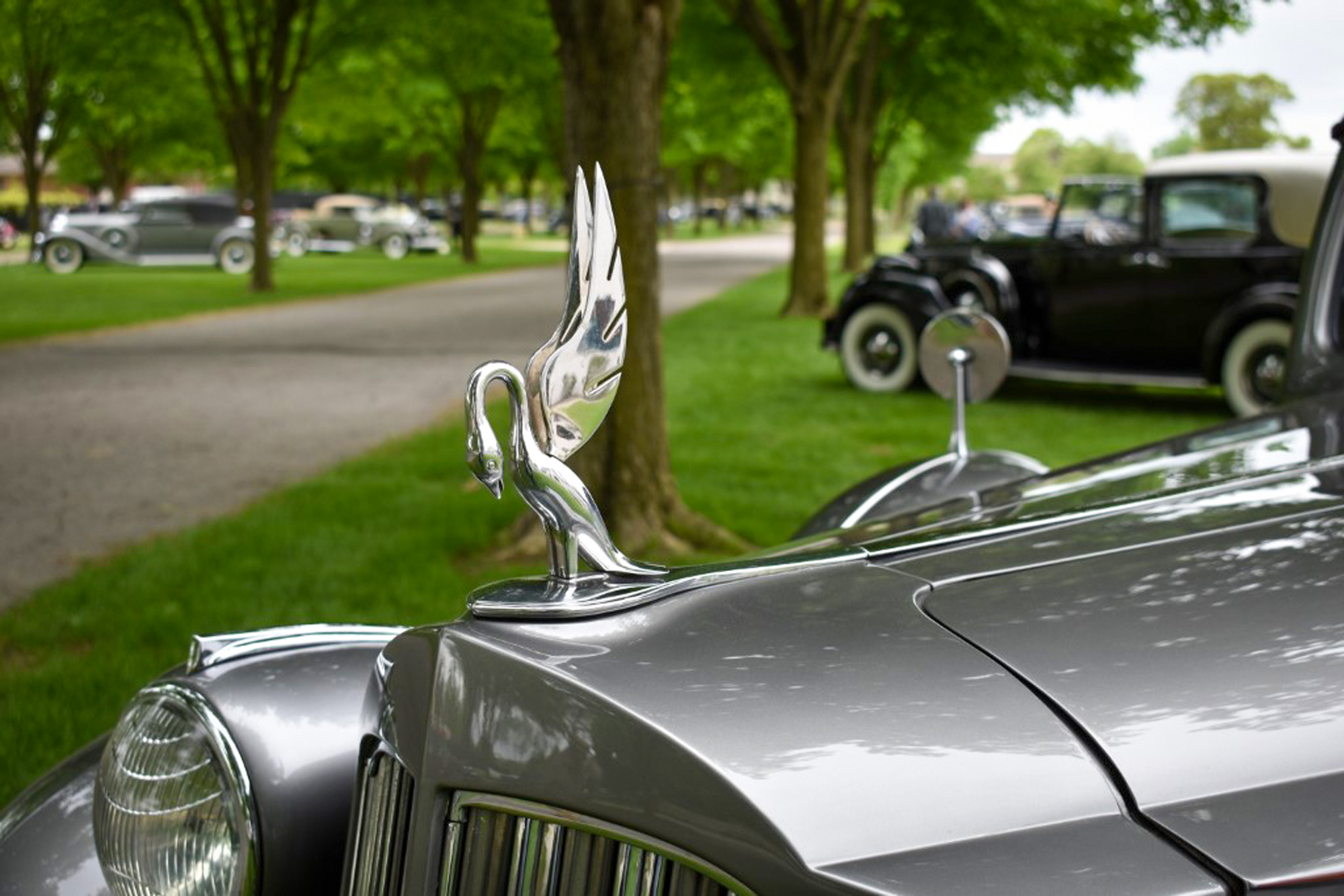 Calling All Twelves: V-12 Packards Return to the Packard Proving ...