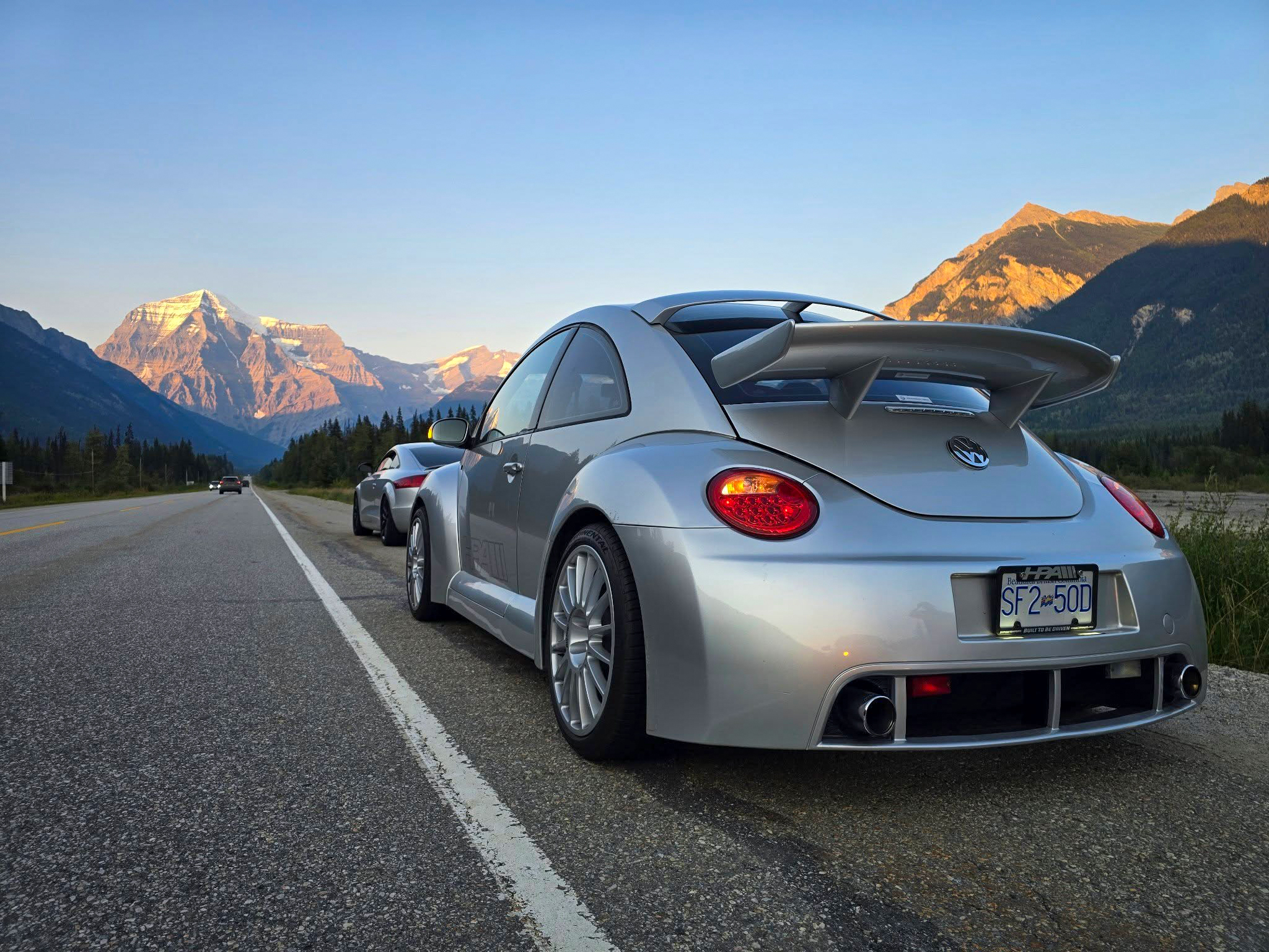 The World’s Most Expensive Beetle Visits the Yukon - Hagerty Media